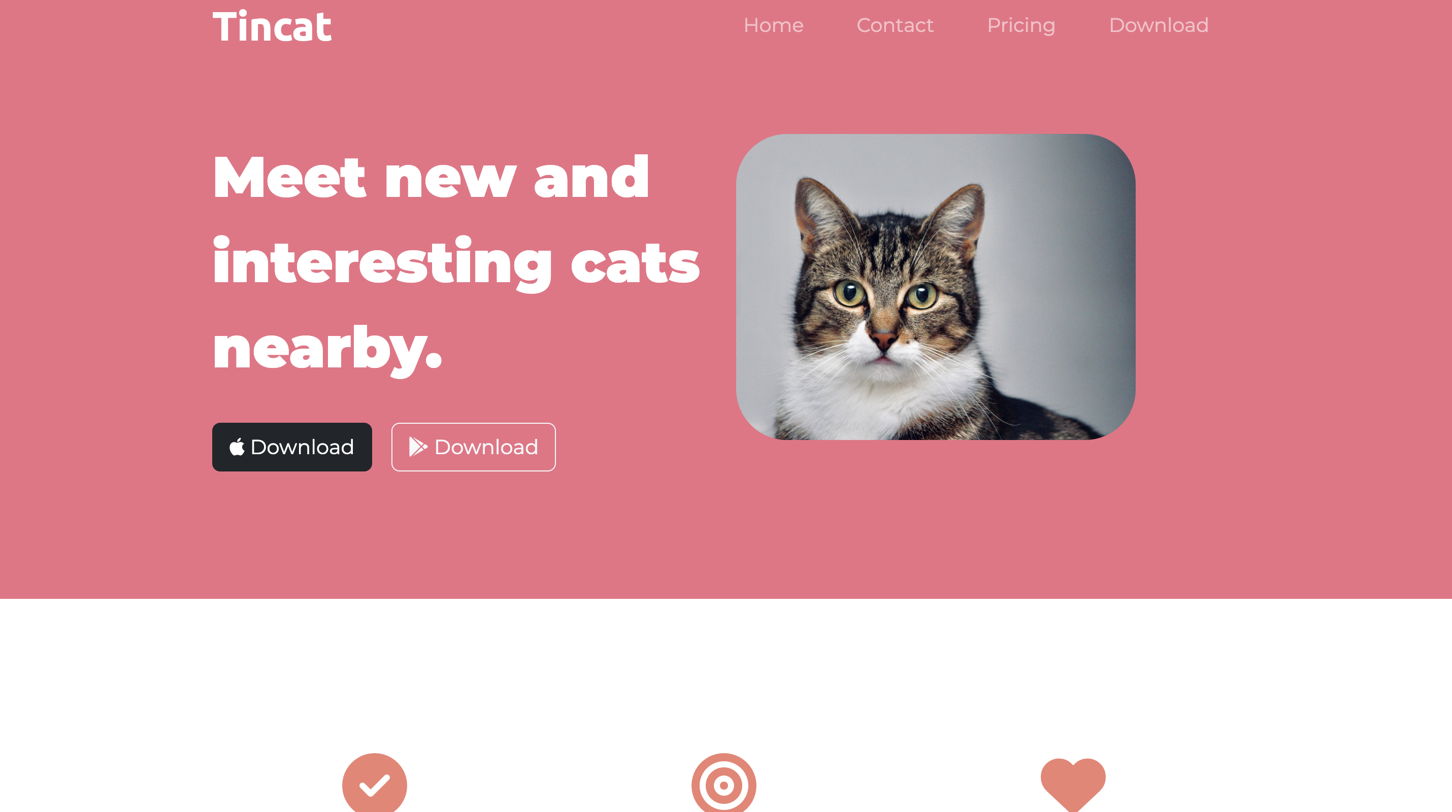 Omotunde Shitta's Portfolio